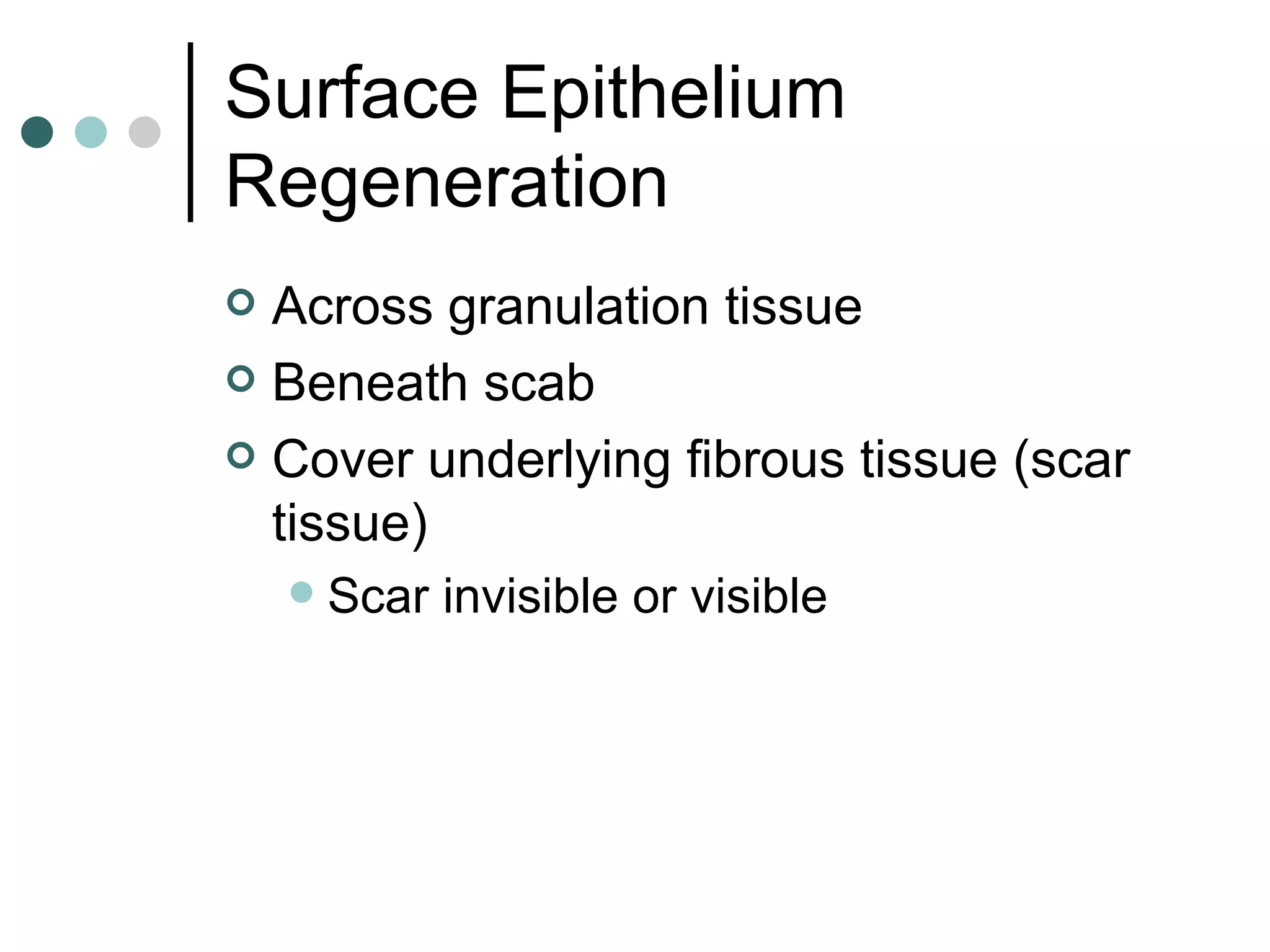 Tissue growth and repair | PPT