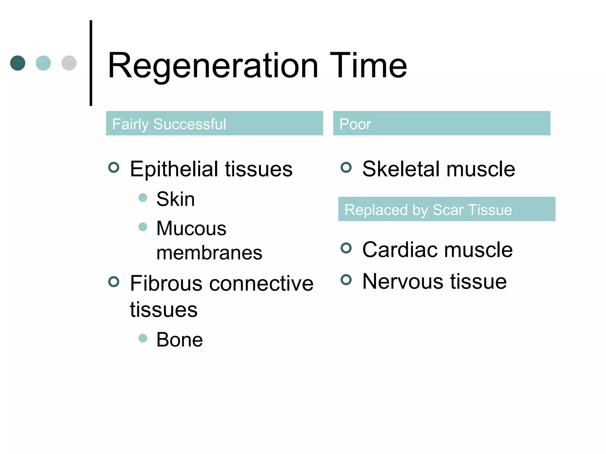 Tissue growth and repair | PPT