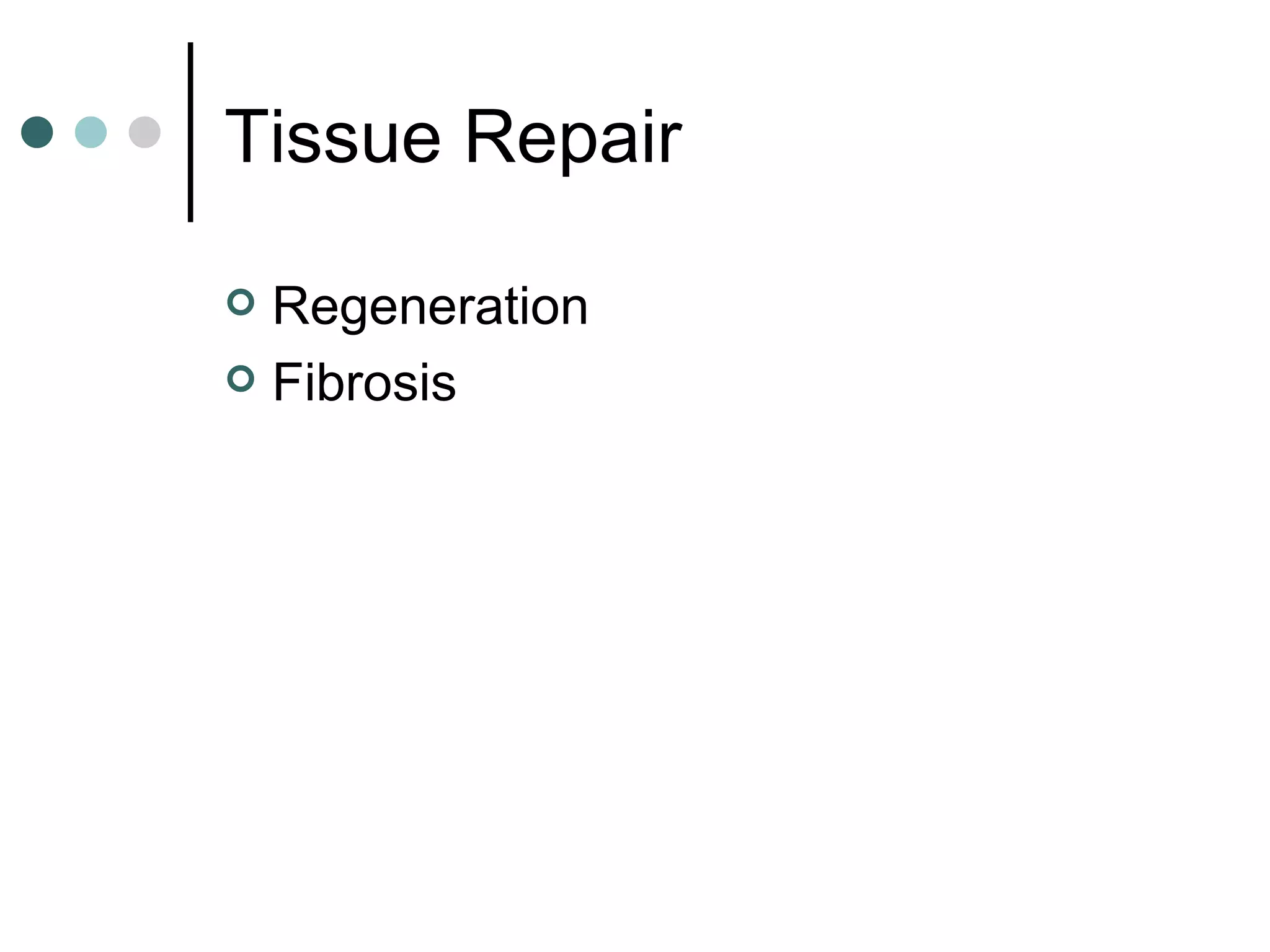 Tissue growth and repair | PPT