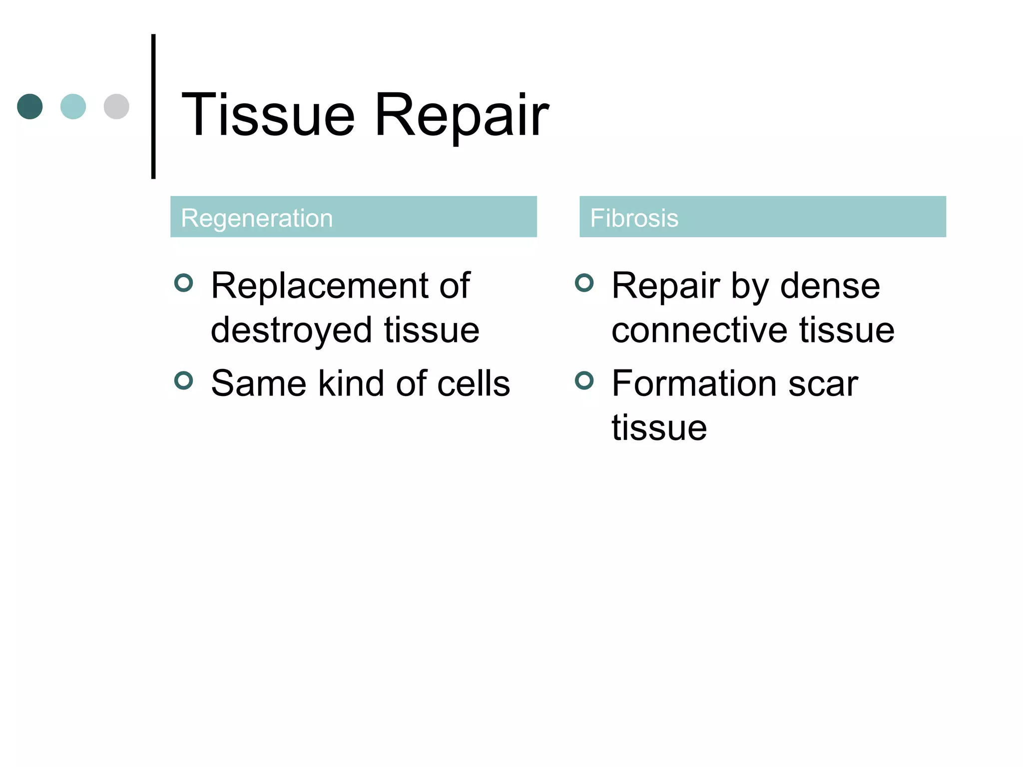 Tissue growth and repair | PPT