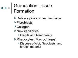 Tissue growth and repair | PPT