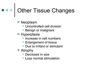 Tissue growth and repair | PPT