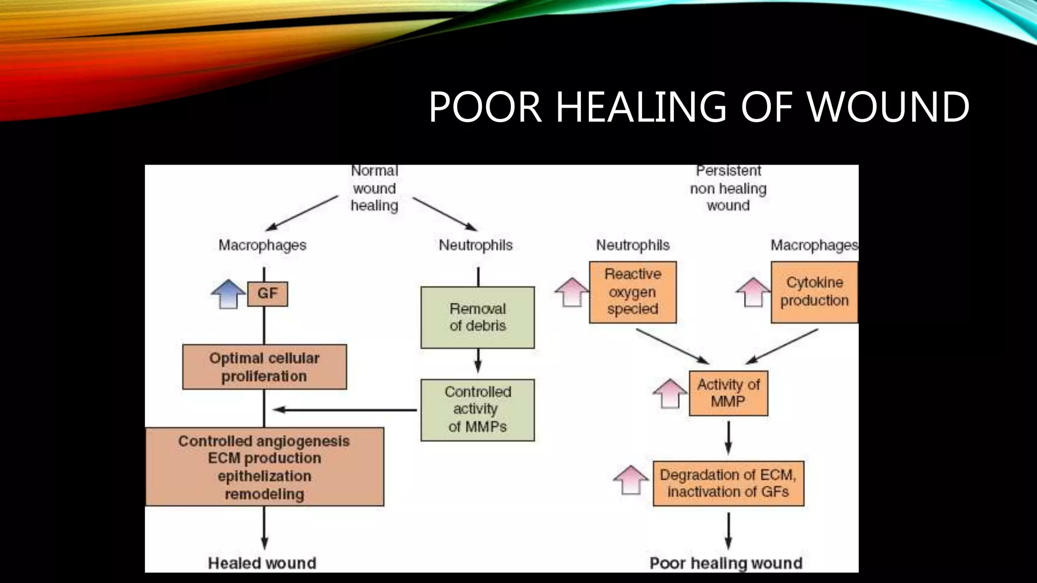 wound healing | PPTX