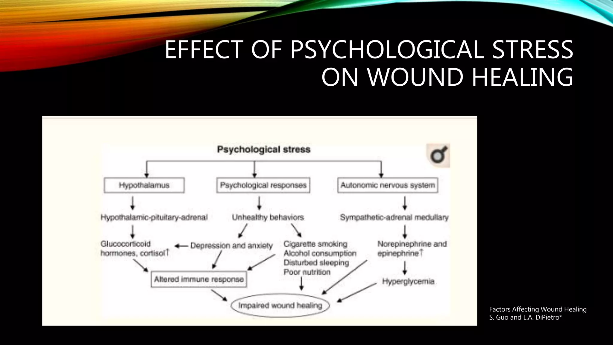 wound healing | PPTX