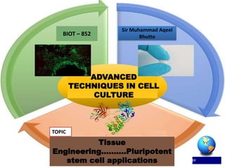 Tissue ingineering biot | PPT