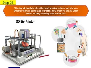 Tissue ingineering biot | PPT