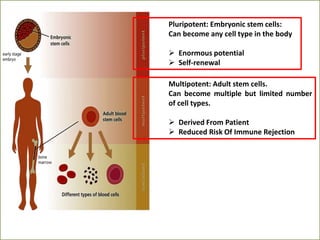 Tissue ingineering biot | PPT