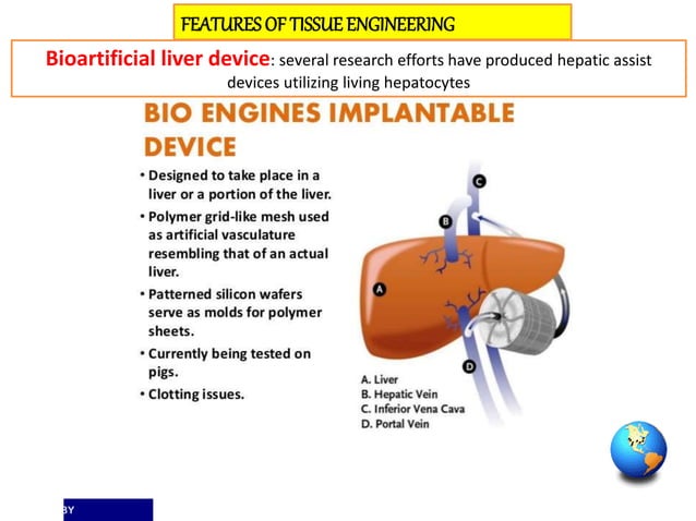 Tissue ingineering biot | PPT