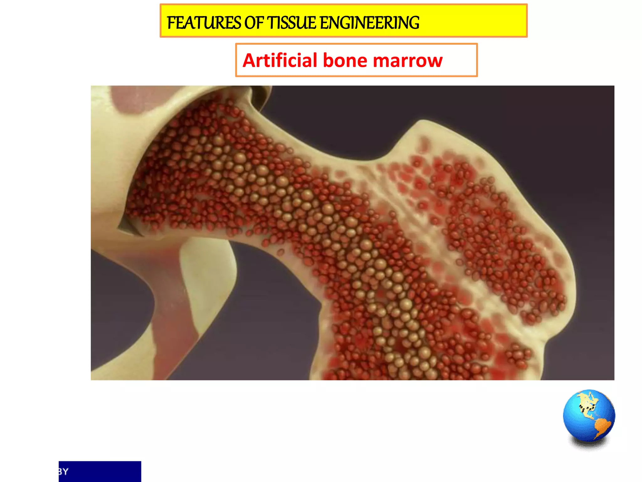 Tissue engineering biotechnology | PPTX