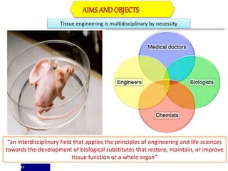 Tissue engineering biotechnology | PPTX