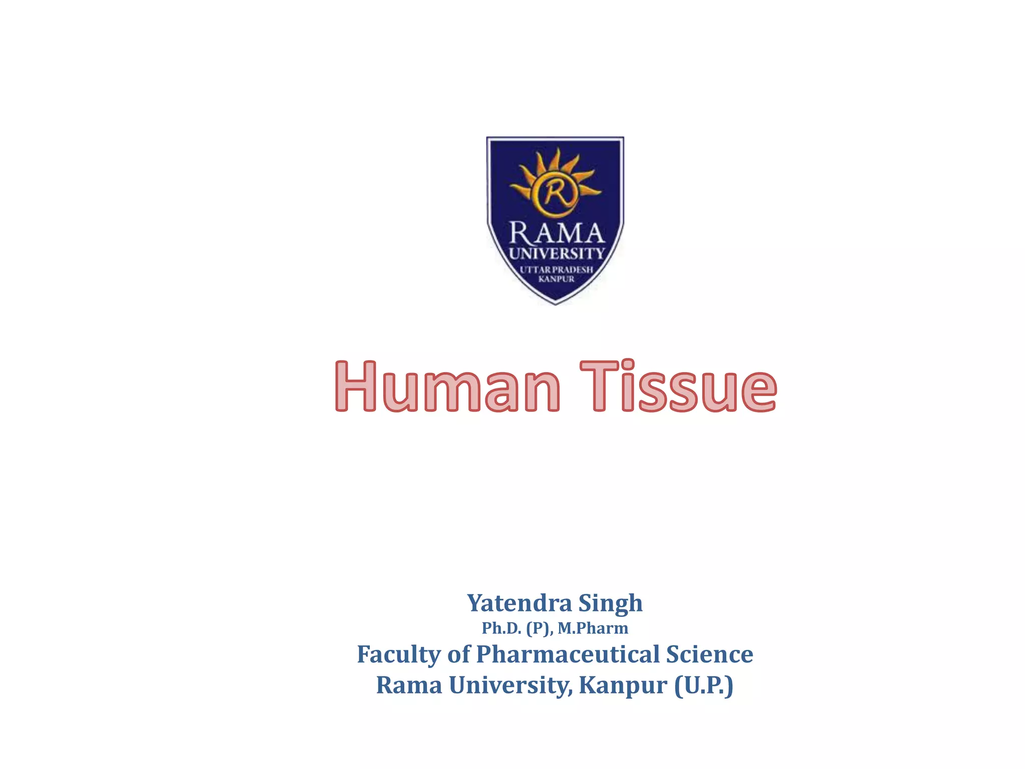 Human Tissue & its types | PDF