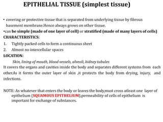 Human Tissue & its types | PDF