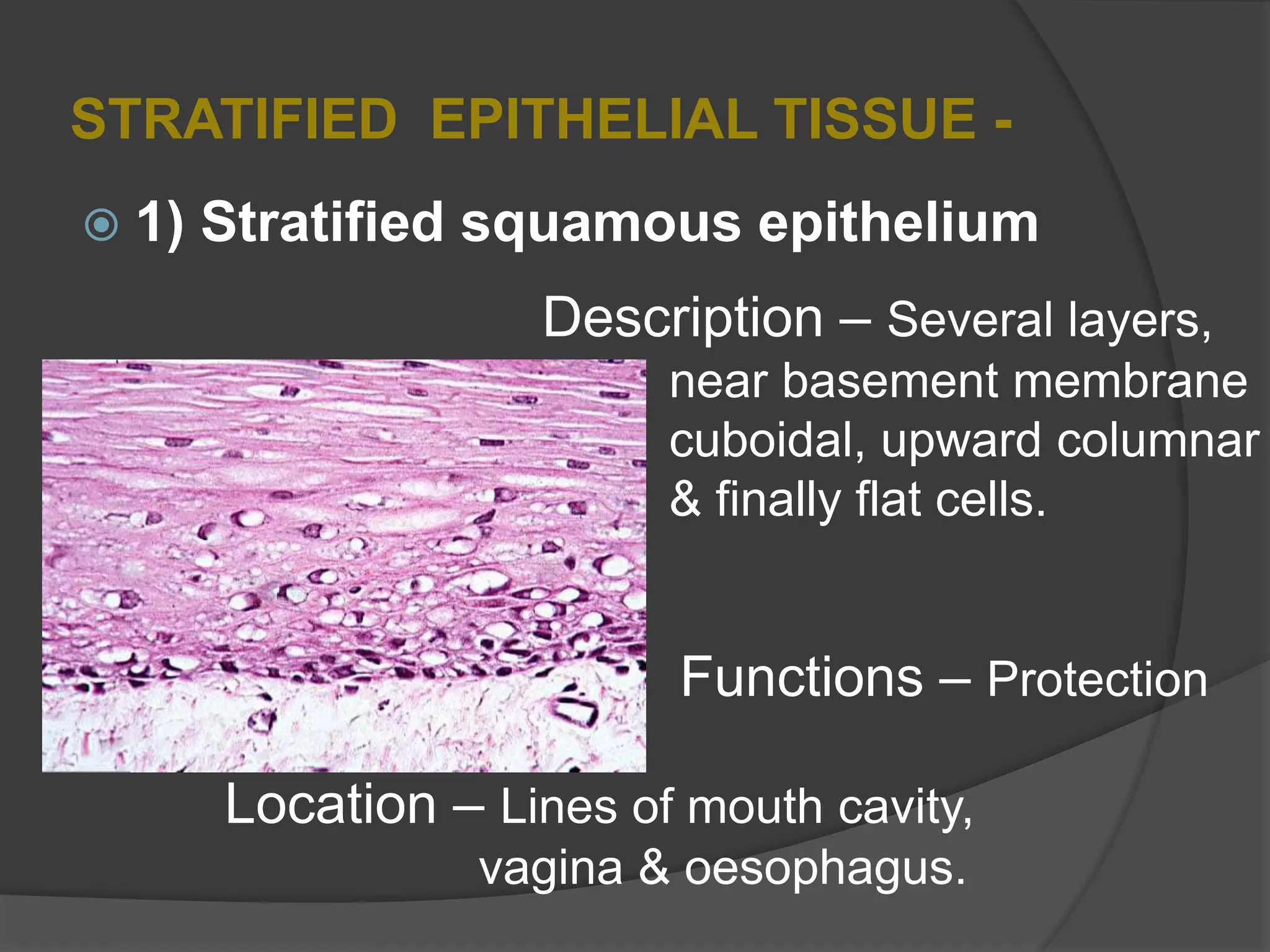 Tissue level of organization.pptx