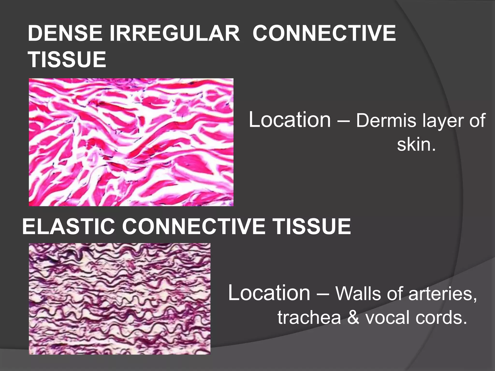 Tissue level of organization.pptx