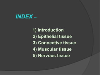 Tissue level of organization.pptx