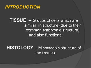 Tissue level of organization.pptx