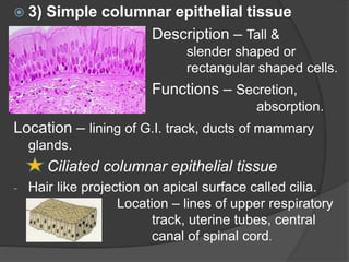 Tissue level of organization.pptx