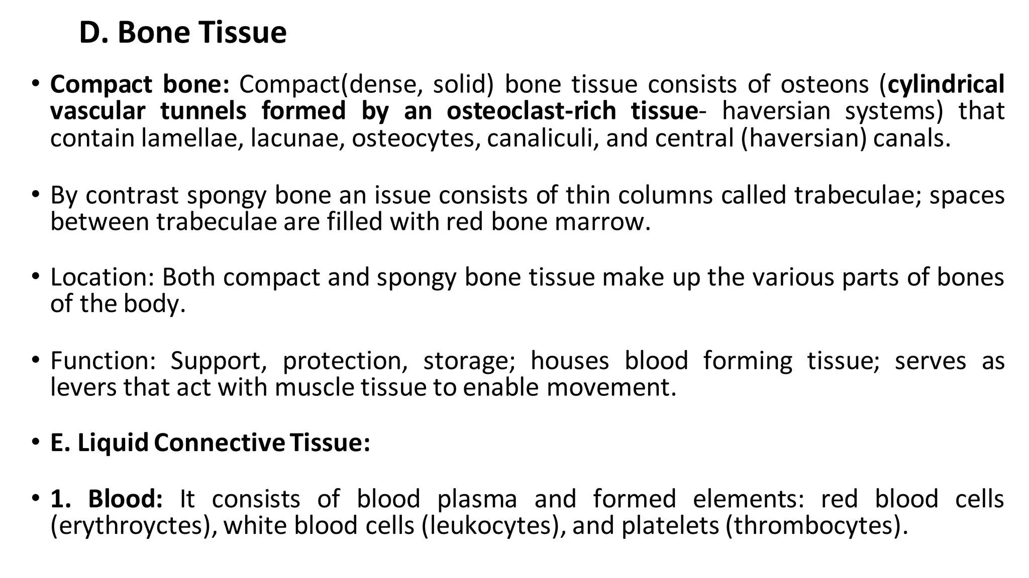 Tissue level of organization.pdf