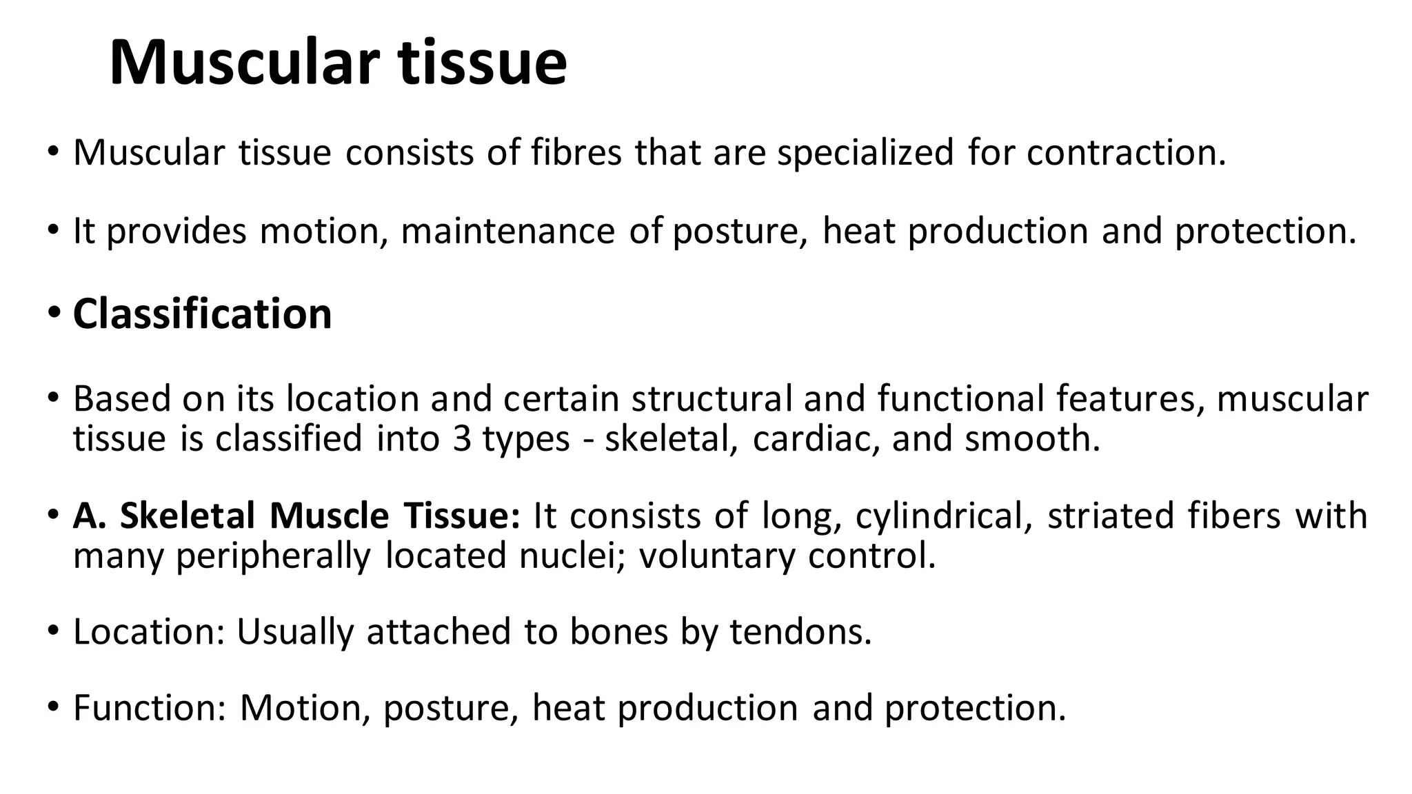 Tissue level of organization.pdf