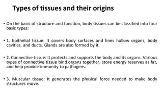 Tissue level of organization.pdf