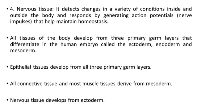 Tissue level of organization.pdf