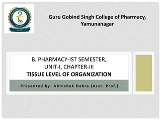 Tissue level of organization.ppt | Free Download