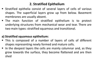 Tissue level of organization.ppt