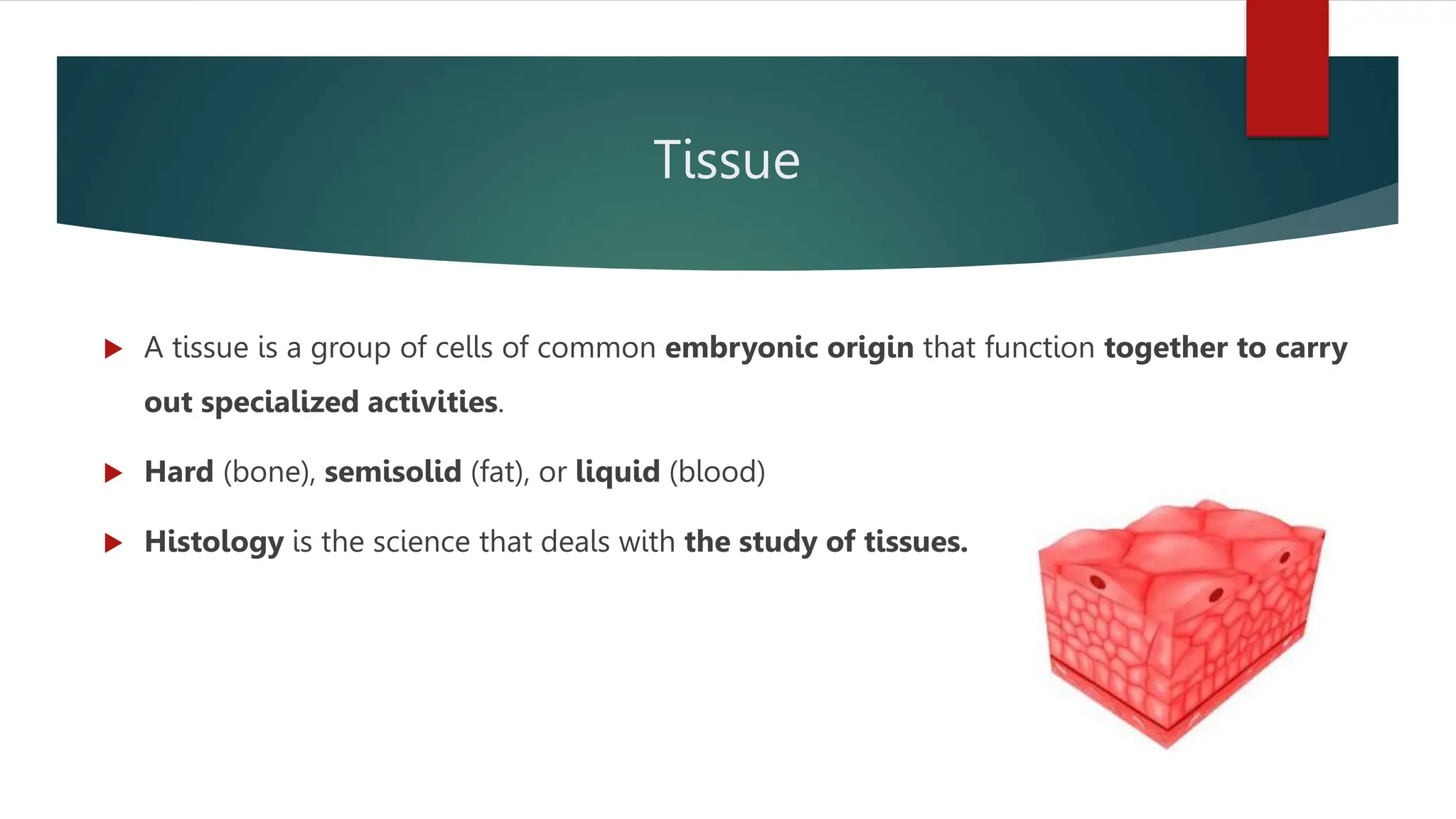 The Tissue level of organization .pptx