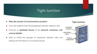 The Tissue level of organization .pptx