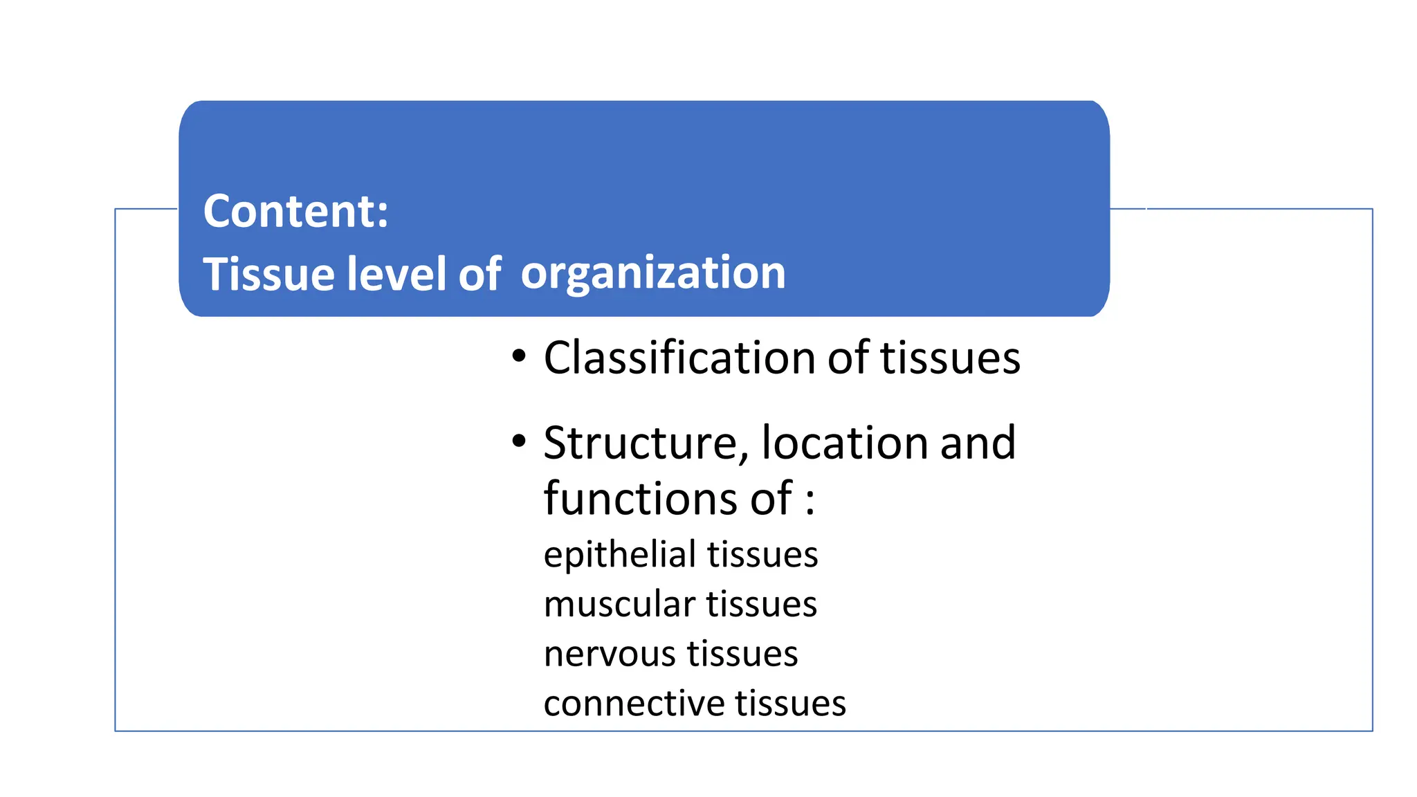Tissue level organization_1001590987.pdf