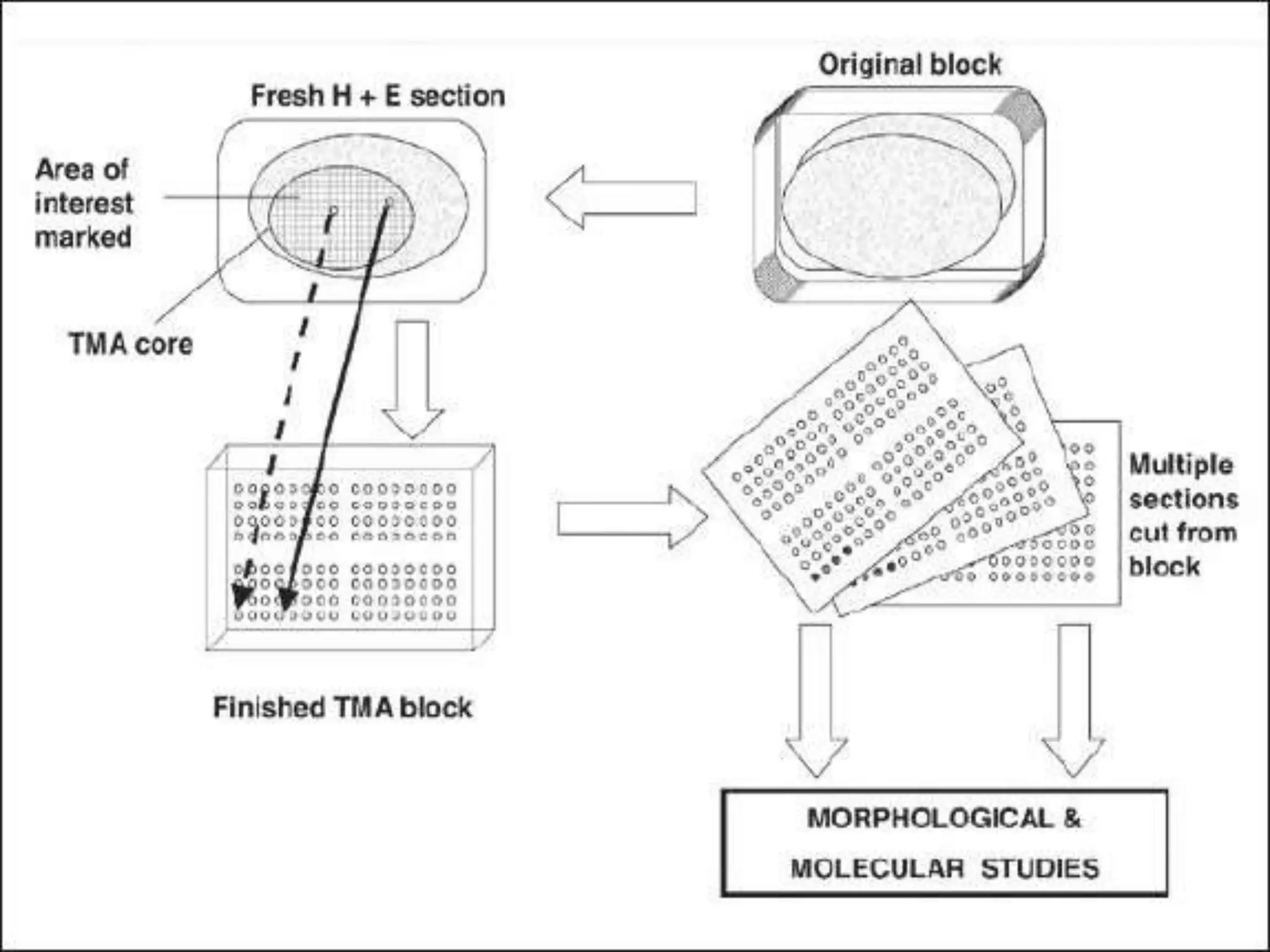 TISSUE MICROARRAY PRESENTATION.pptx