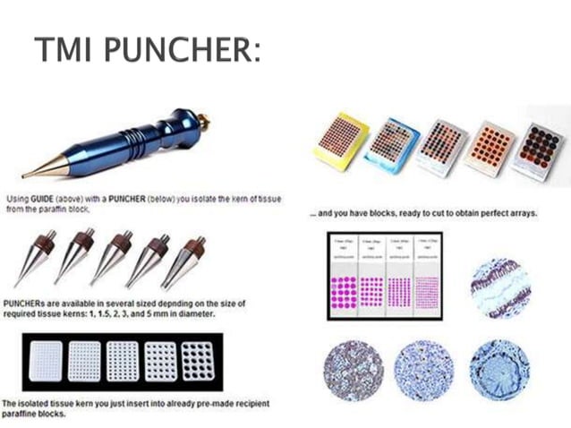 TISSUE MICROARRAY PRESENTATION.pptx | Biological Sciences | Science