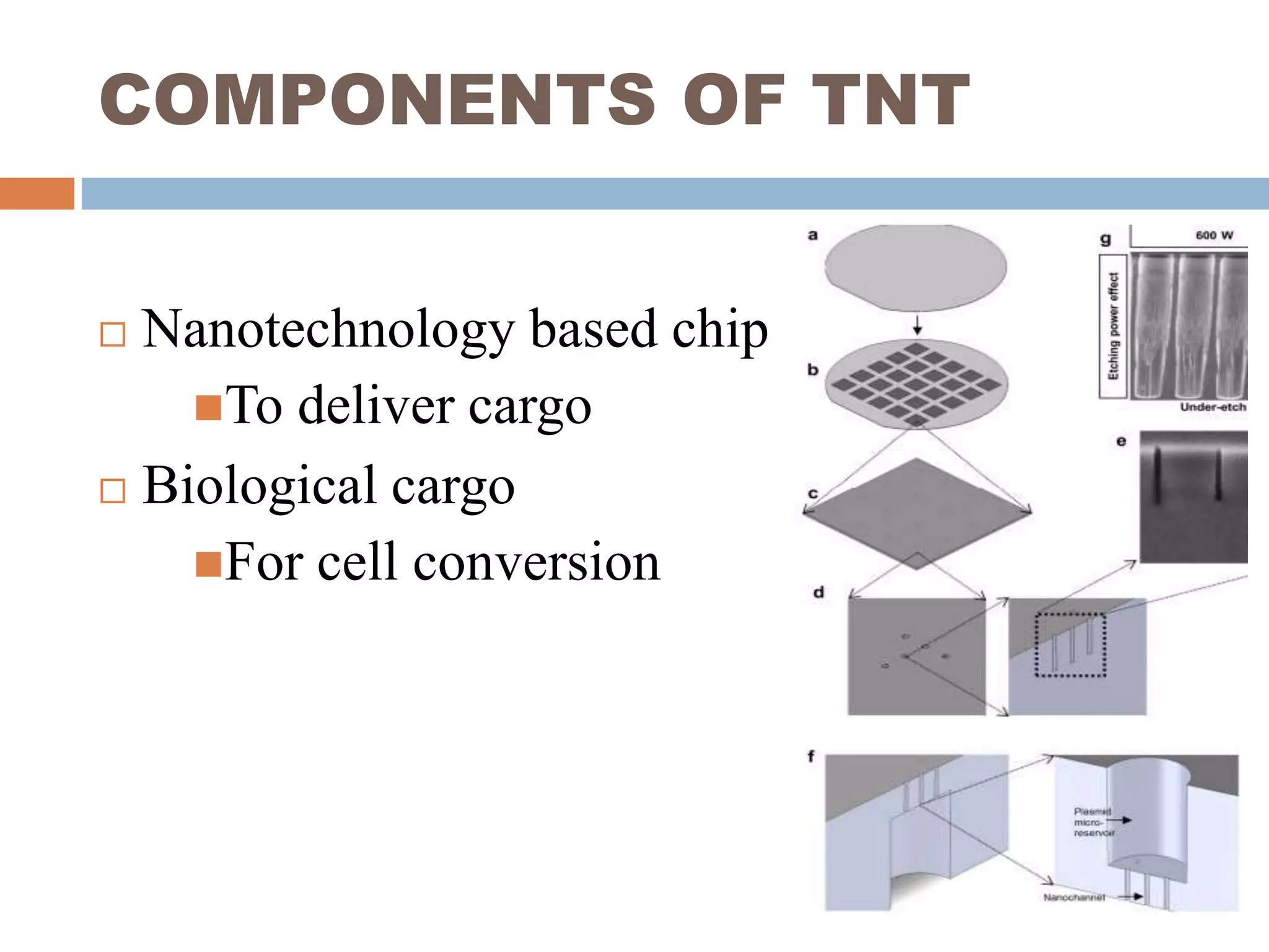 Tissue nano transfection | PPTX
