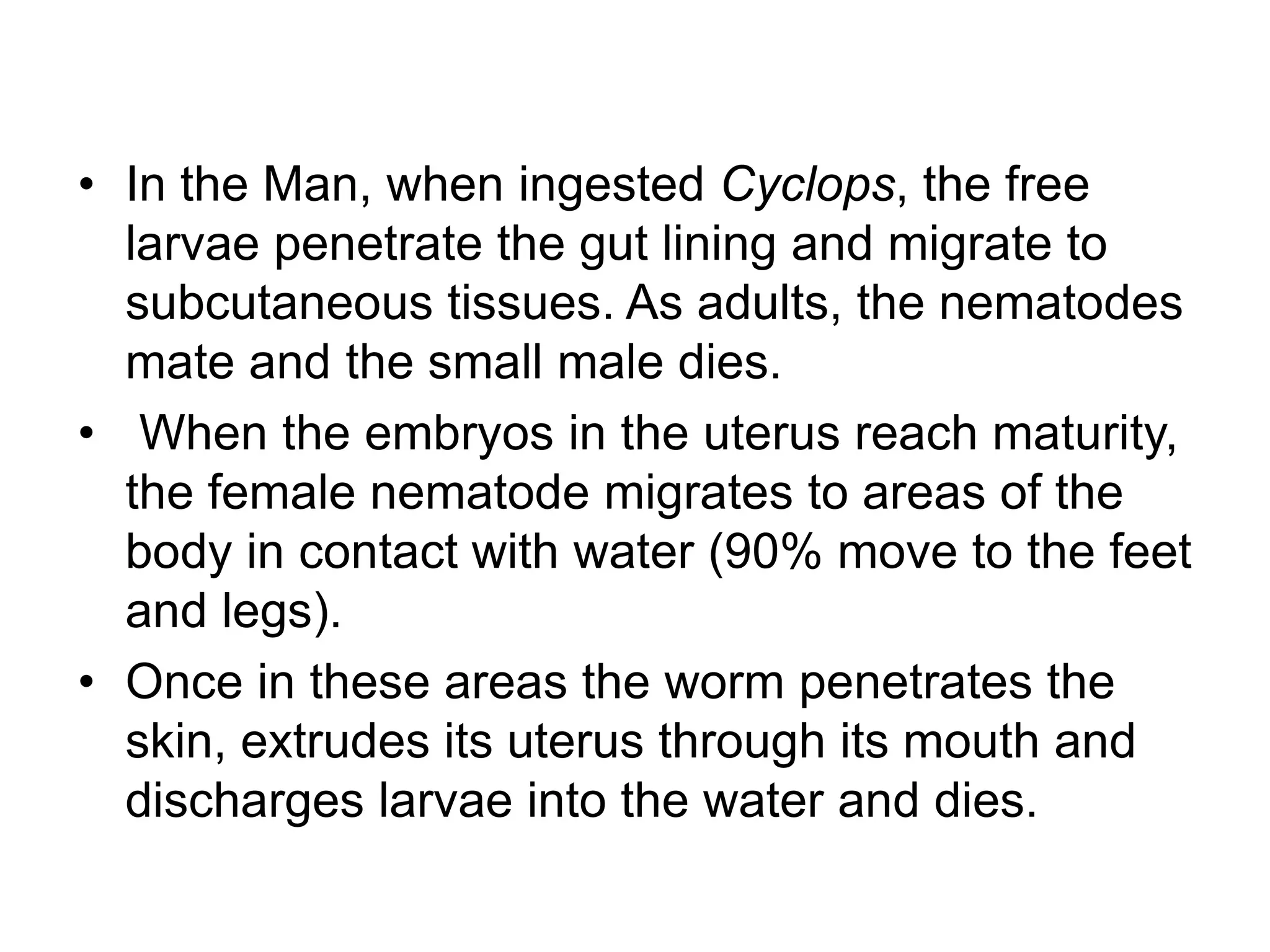 Tissue nematodes 8 (1).pptx