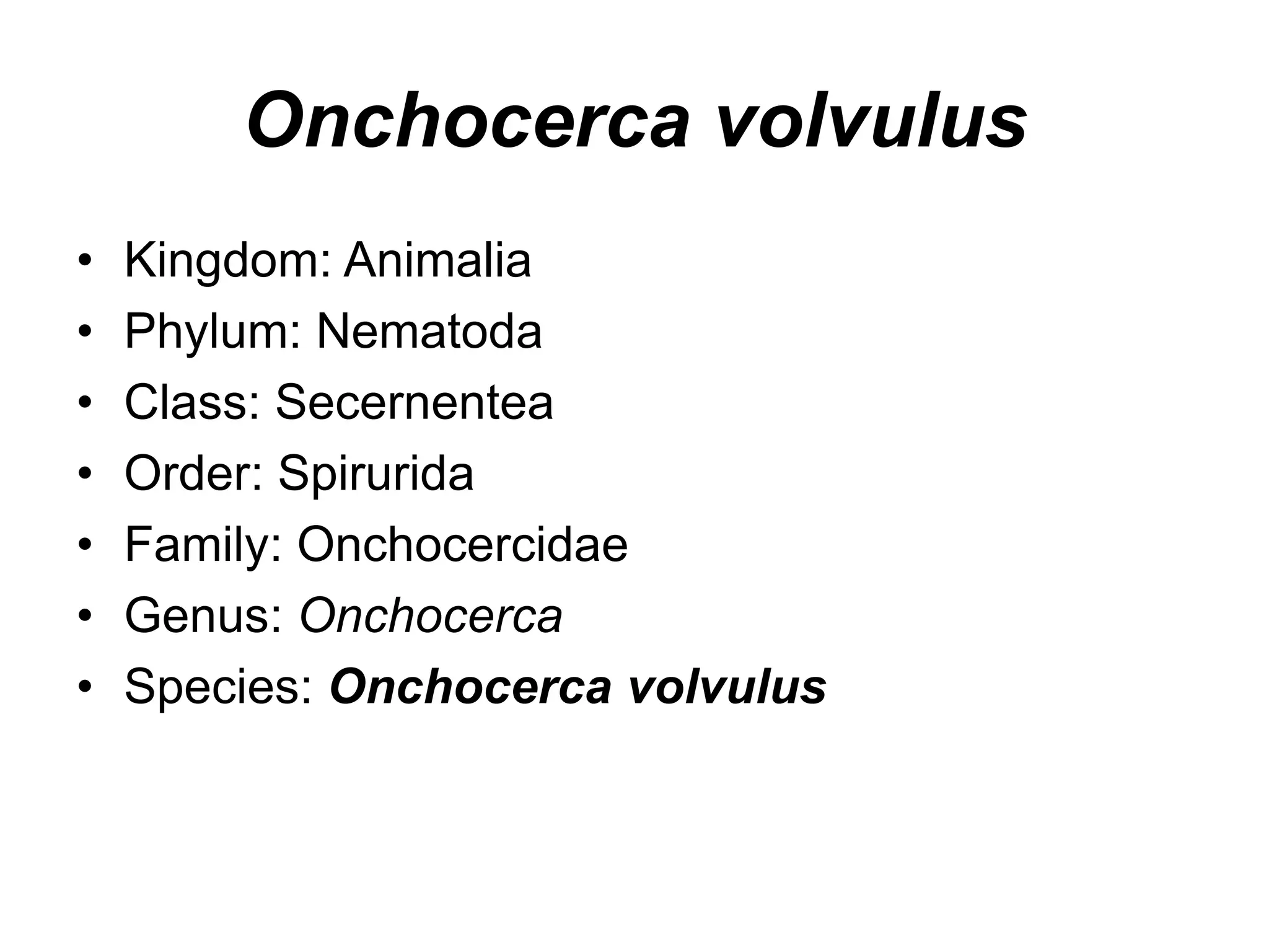 Onchocerciasis (Onchocerca volvulus) | PPTX