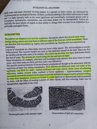 Tissue of the primary plant body.pdf pdf | PDF