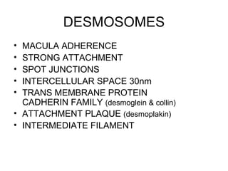Tissue part 4 | PPT