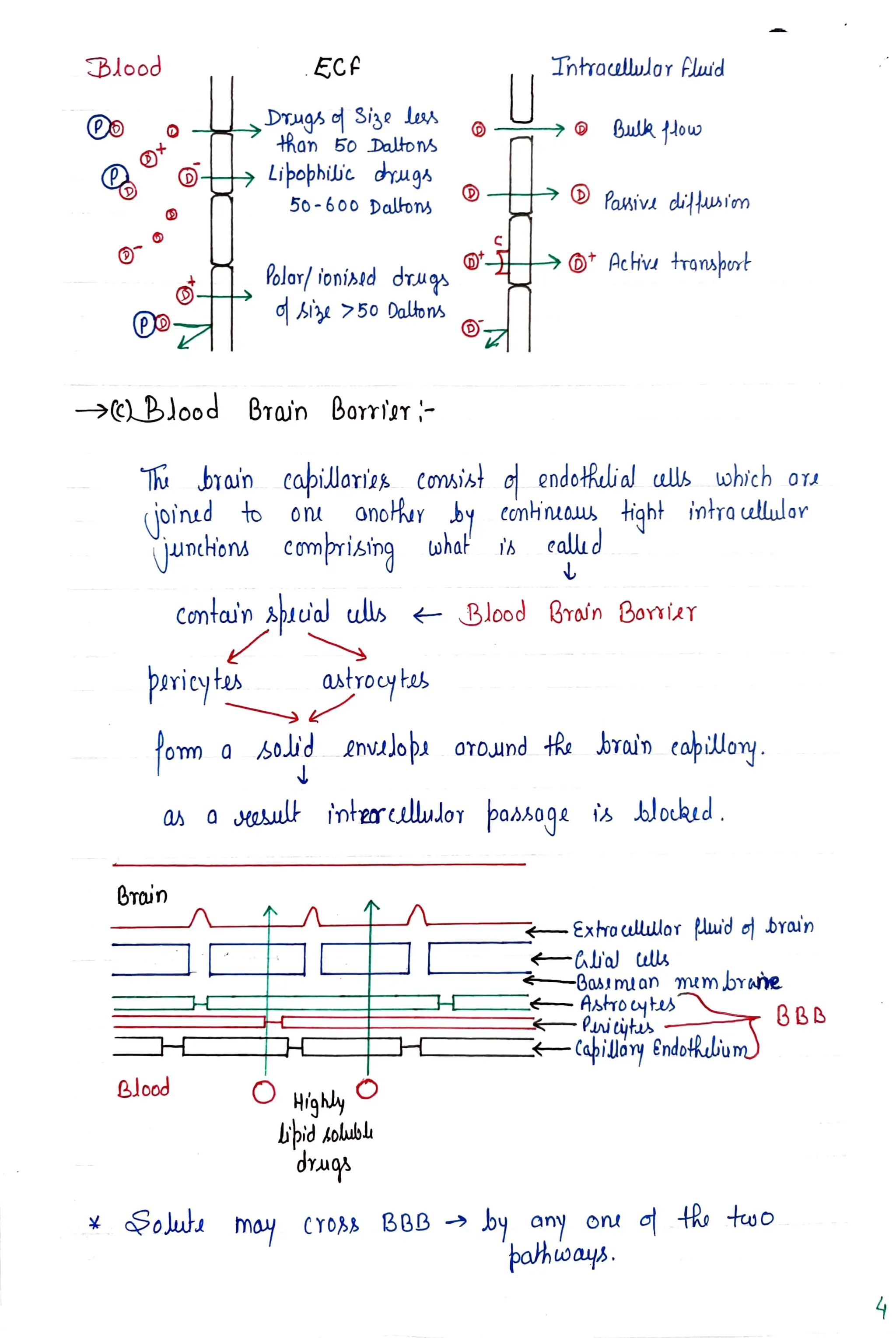 Tissue Permeability of Drugs.........pdf