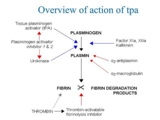 Tissue Plasminogen Activator.pptx | Blood Disorders | Diseases and ...