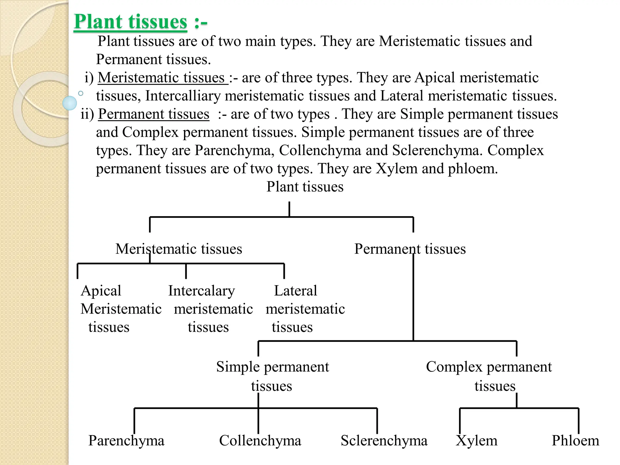Tissue structure in plants and animals PPT.pdf