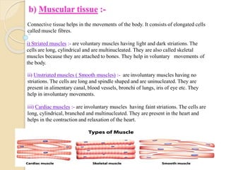 Tissue structure in plants and animals PPT.pdf