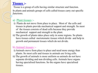 Tissue structure in plants and animals PPT.pdf