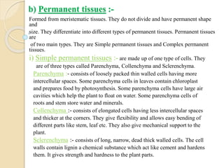 Tissue structure in plants and animals PPT.pdf