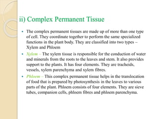 Tissue structure in plants and animals PPT.pdf