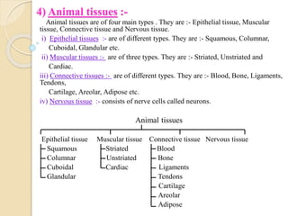 Tissue structure in plants and animals PPT.pdf