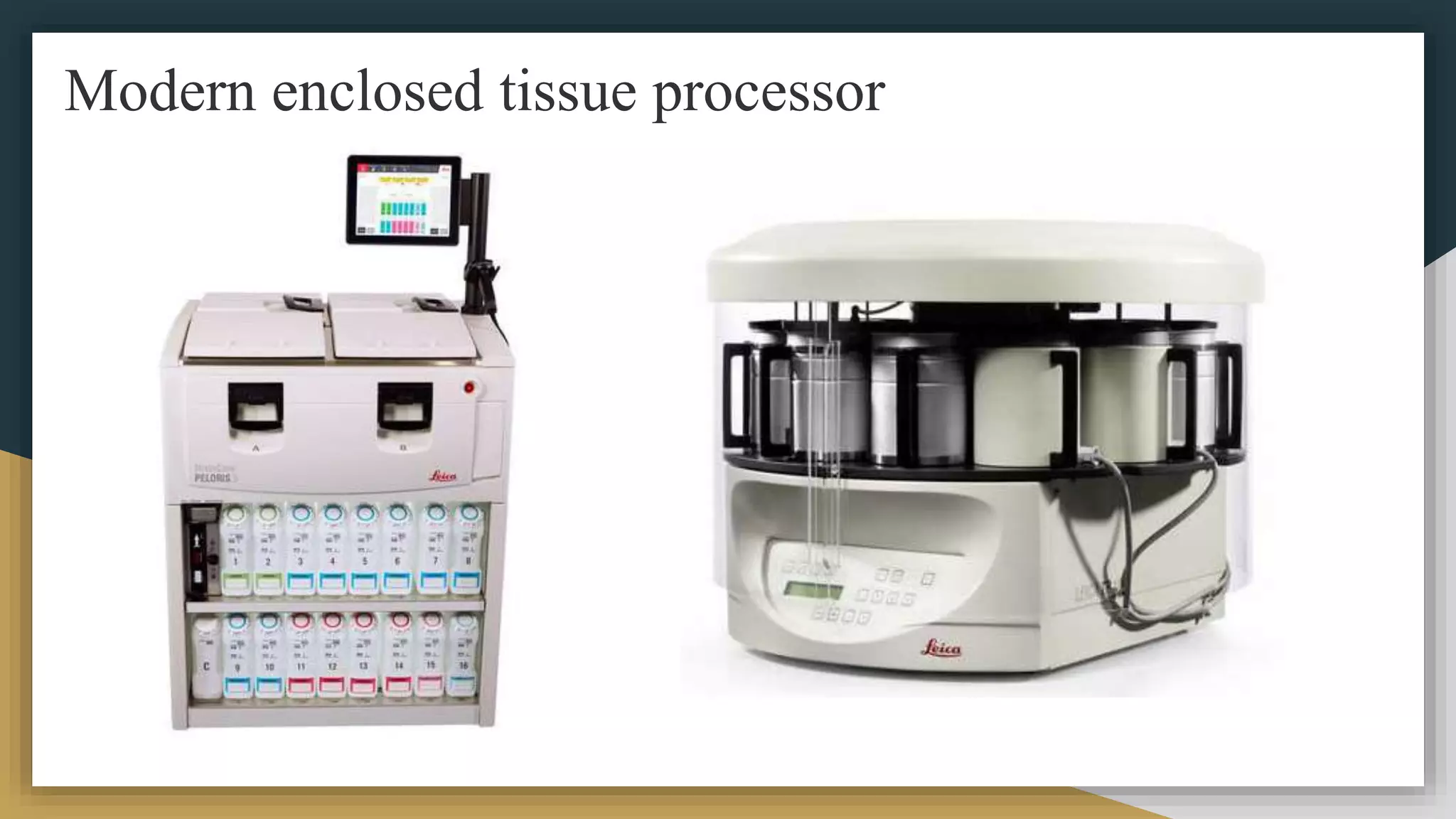 Tissue preparation process, embedding and block preparation in research ...