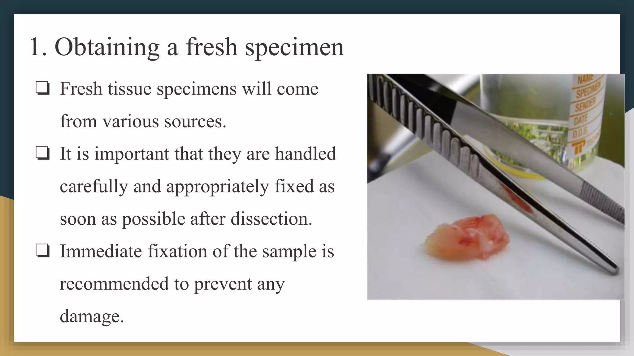 Tissue preparation process, embedding and block preparation in research ...