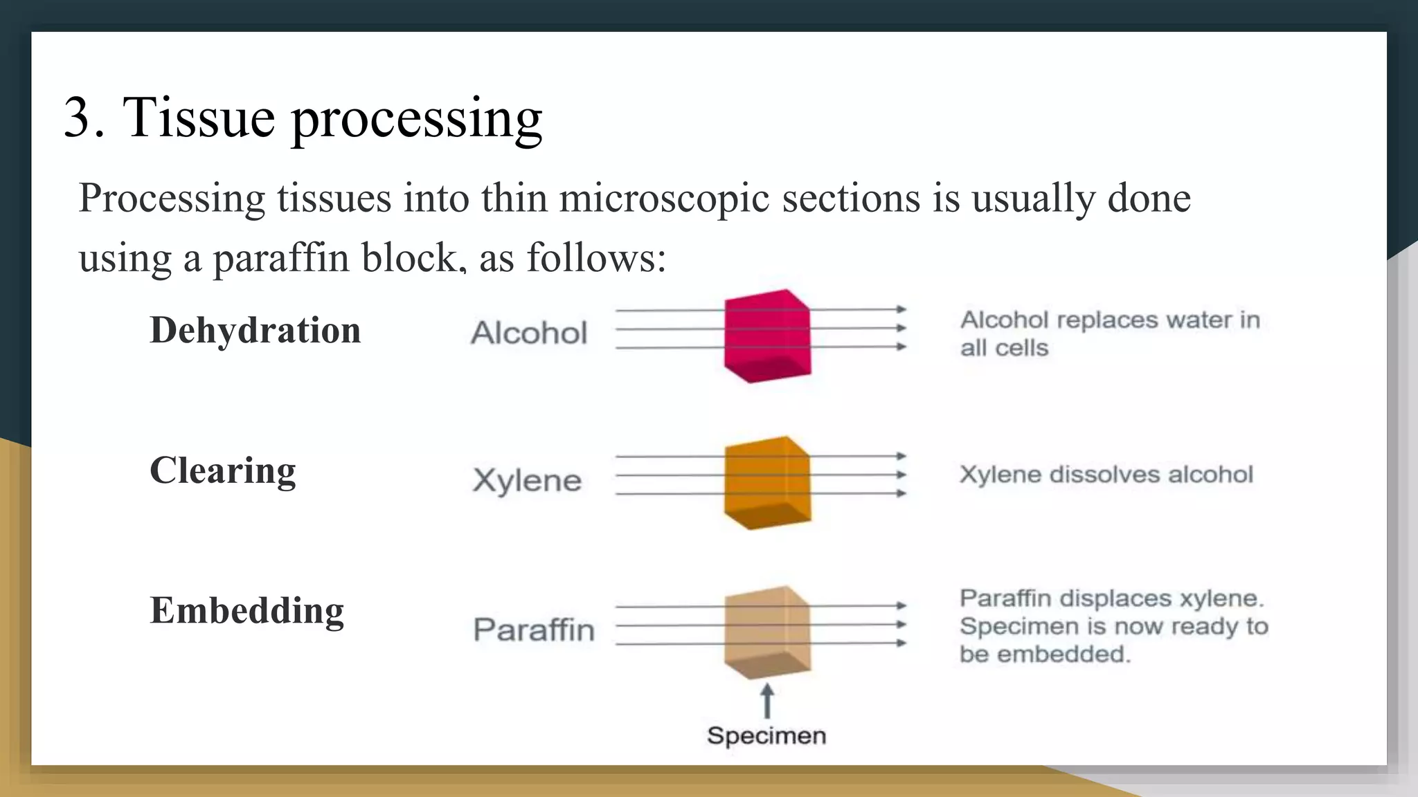 Tissue preparation process, embedding and block preparation in research area | PPTX