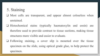Tissue preparation process, embedding and block preparation in research ...