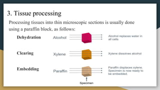 Tissue preparation process, embedding and block preparation in research area | PPTX